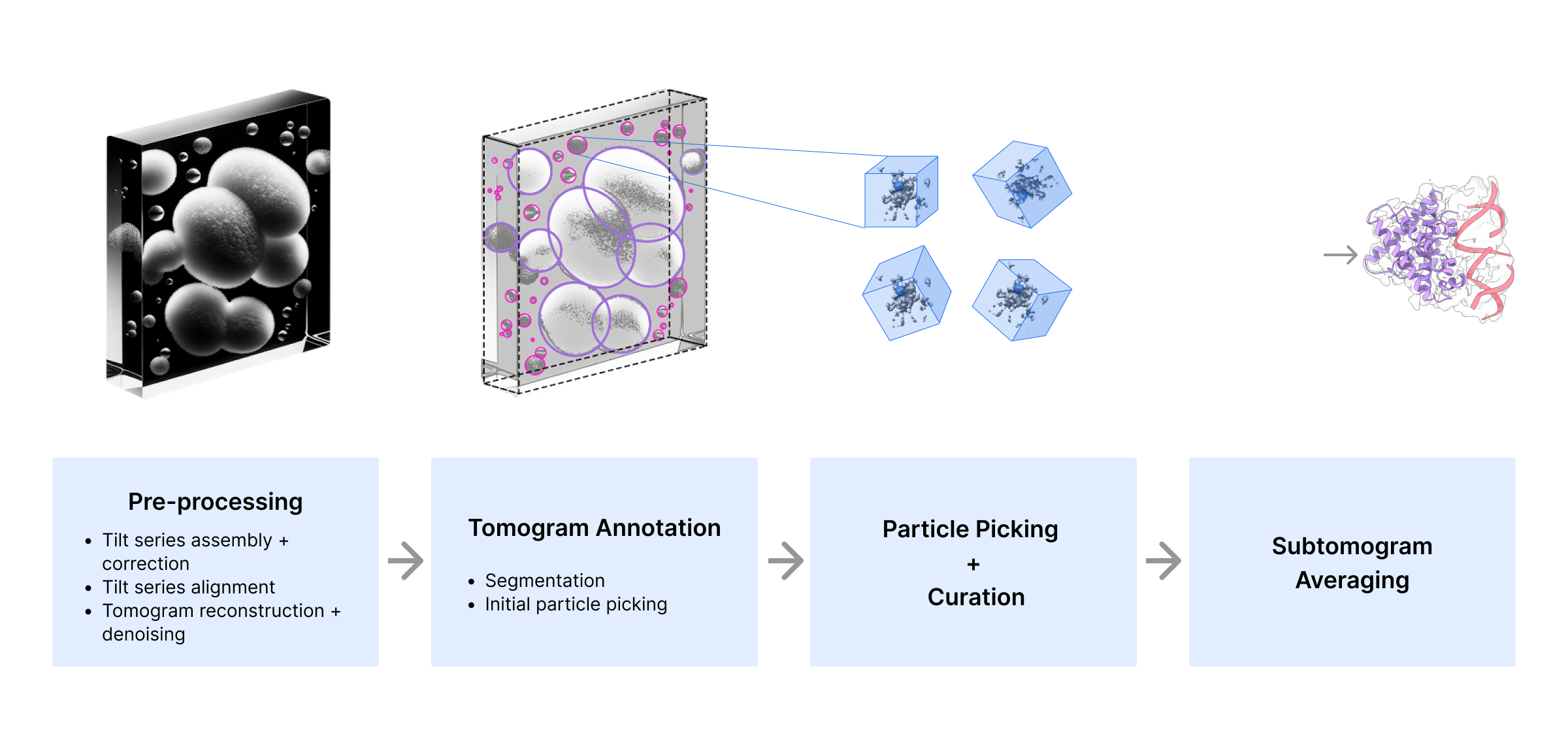 CryoET Workflow - CryoET Data Portal Documentation